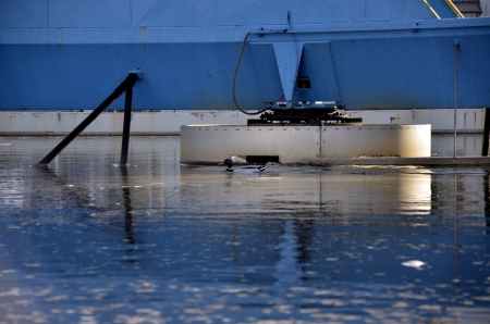 Vacuum Truck Hire Across Queensland | Capricorn Pipe Cleaning