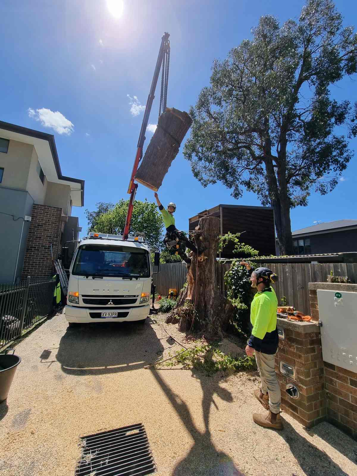 Melbourne-Based Ethical Arborists | Precise Tree Services