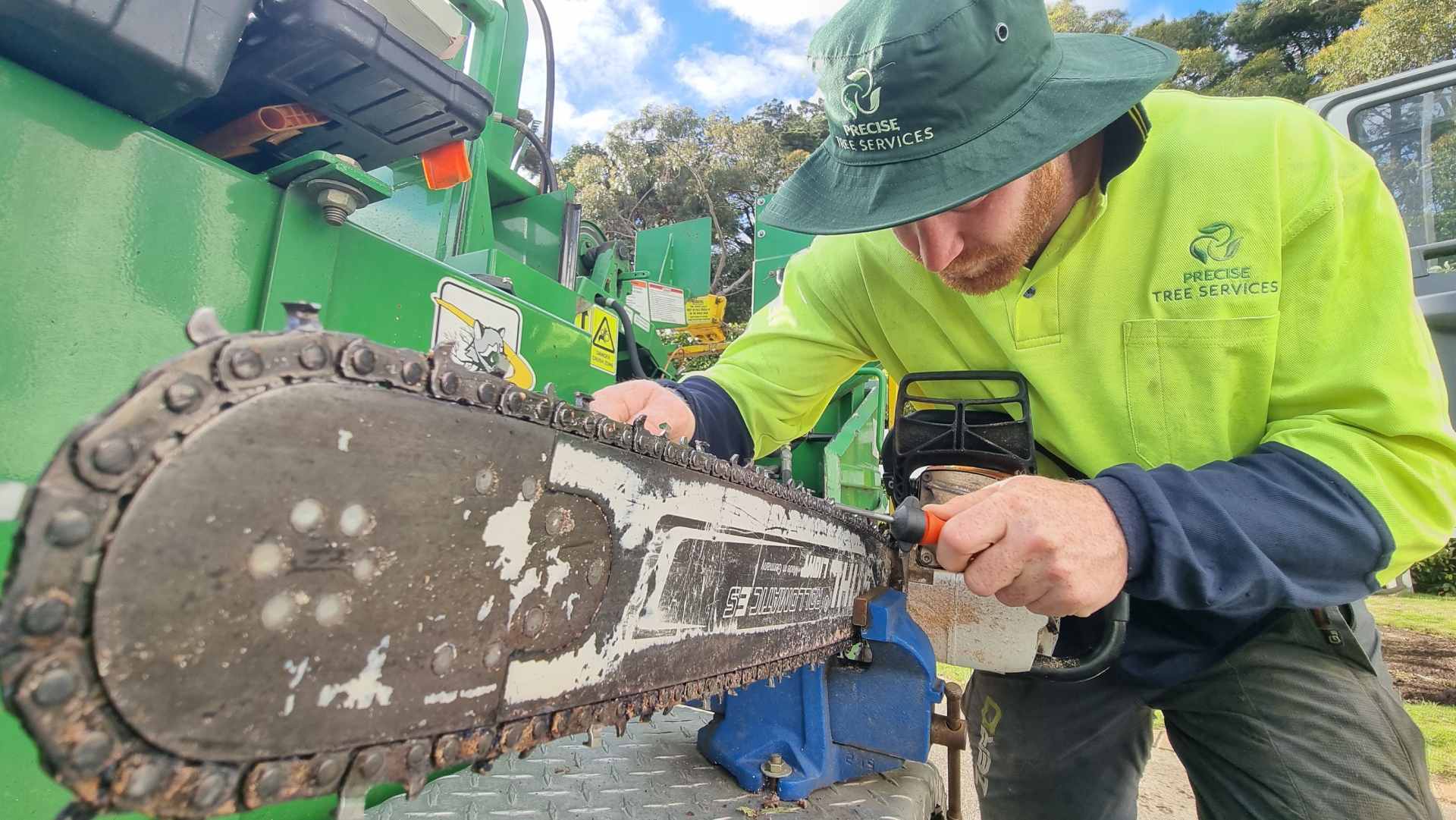 Melbourne-Based Ethical Arborists | Precise Tree Services