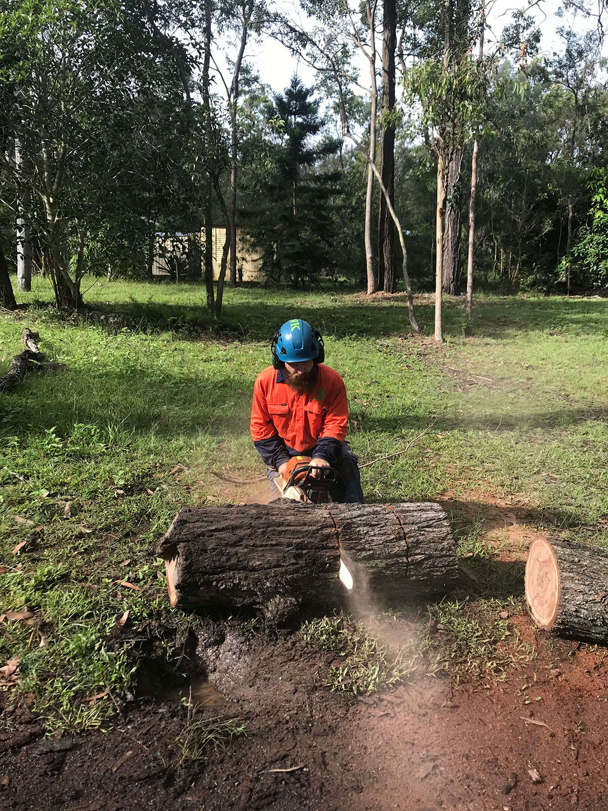 Why Use A Certified Arborist Arborspec