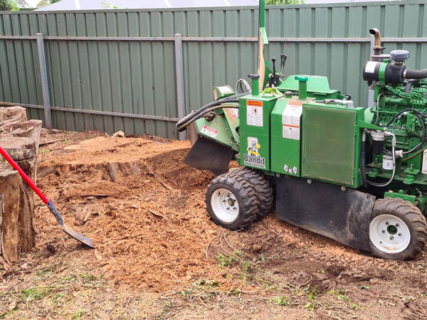 Stump grinding services | Adelaide Hills | Stump Daddy